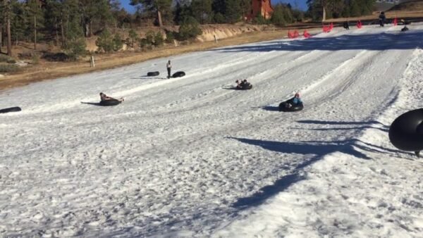 Best Places for Snow Play Near Los Angeles